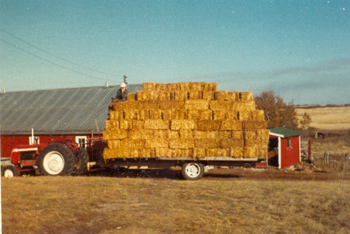 Yellow co-op combine??? - Page 3 - General Chat - Red Power Magazine ...