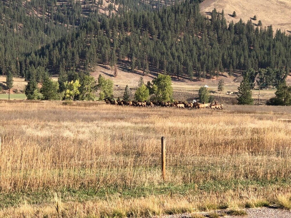 First frost. - General Chat - Red Power Magazine Community