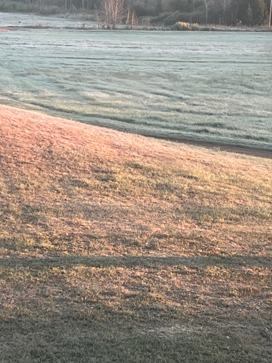 First frost. - General Chat - Red Power Magazine Community