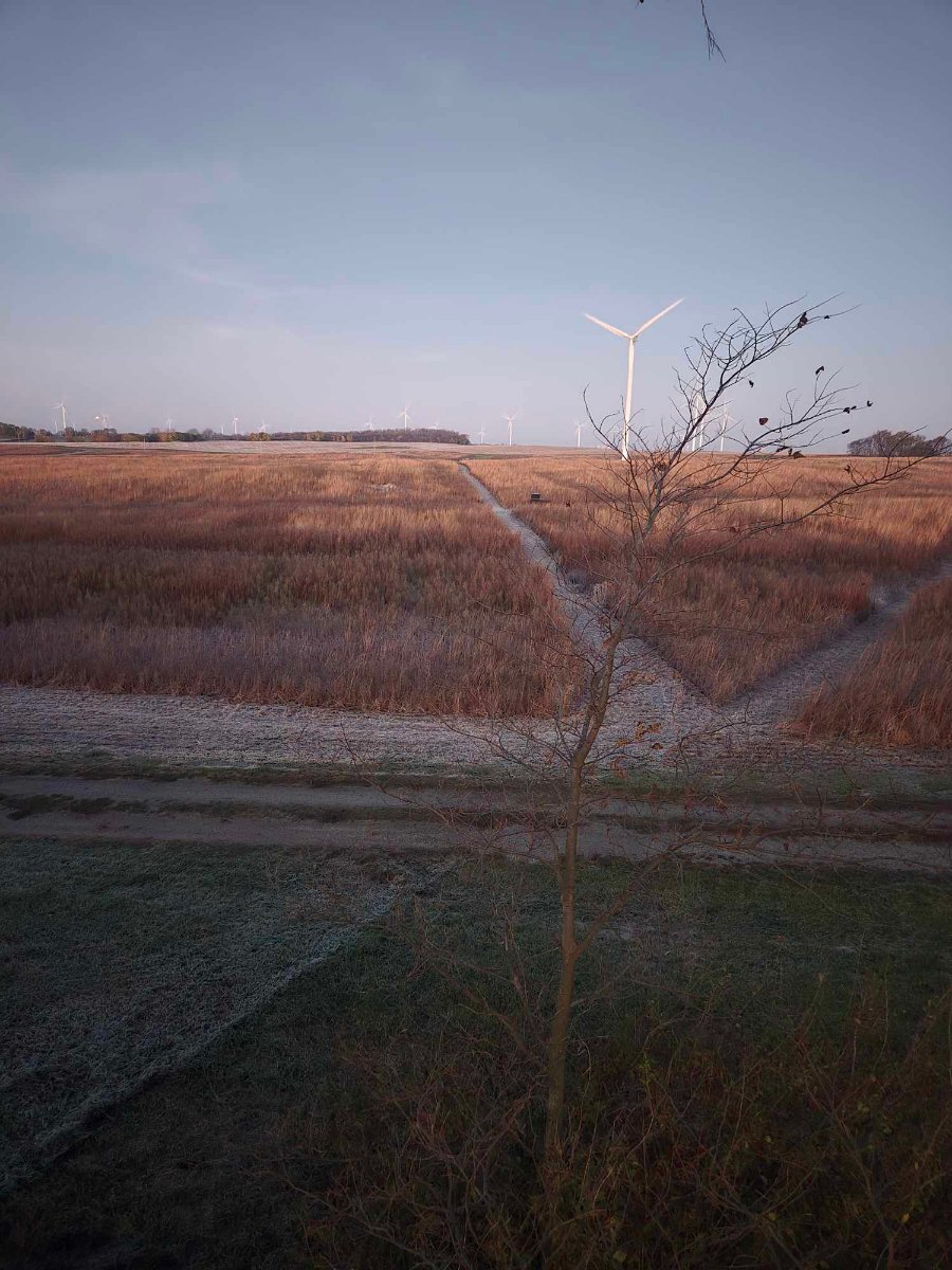 Damn deer - Page 2 - General Chat - Red Power Magazine Community