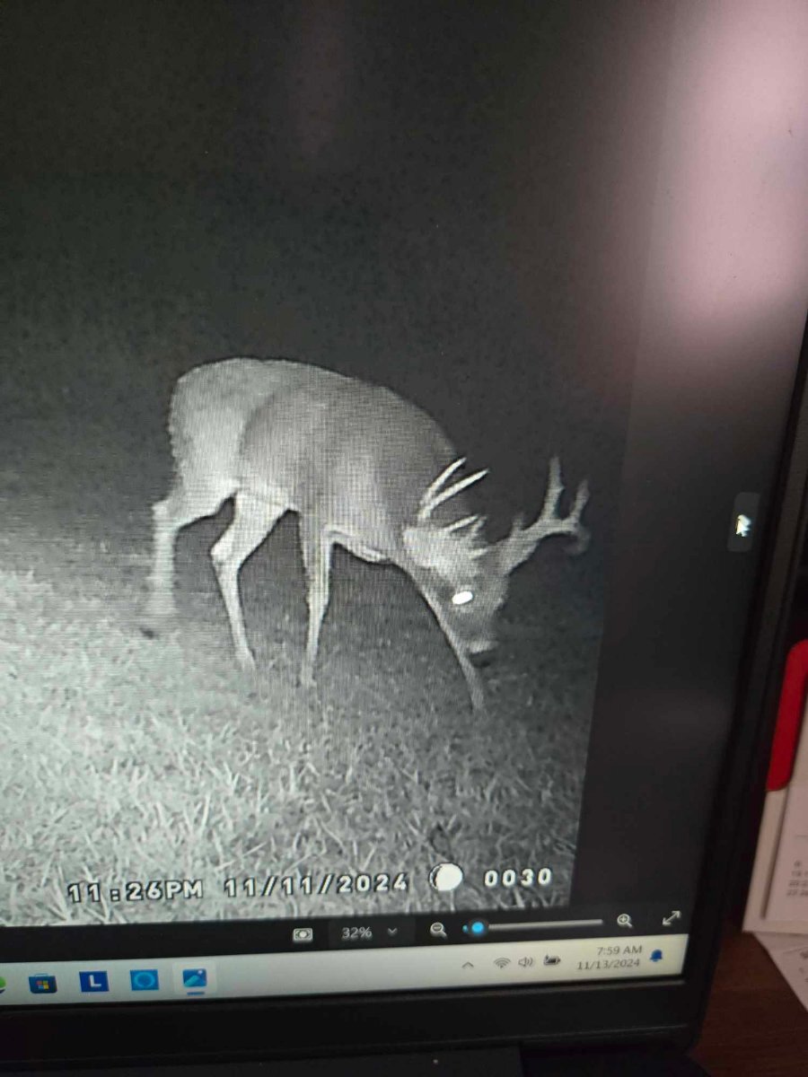 Damn deer - Page 2 - General Chat - Red Power Magazine Community