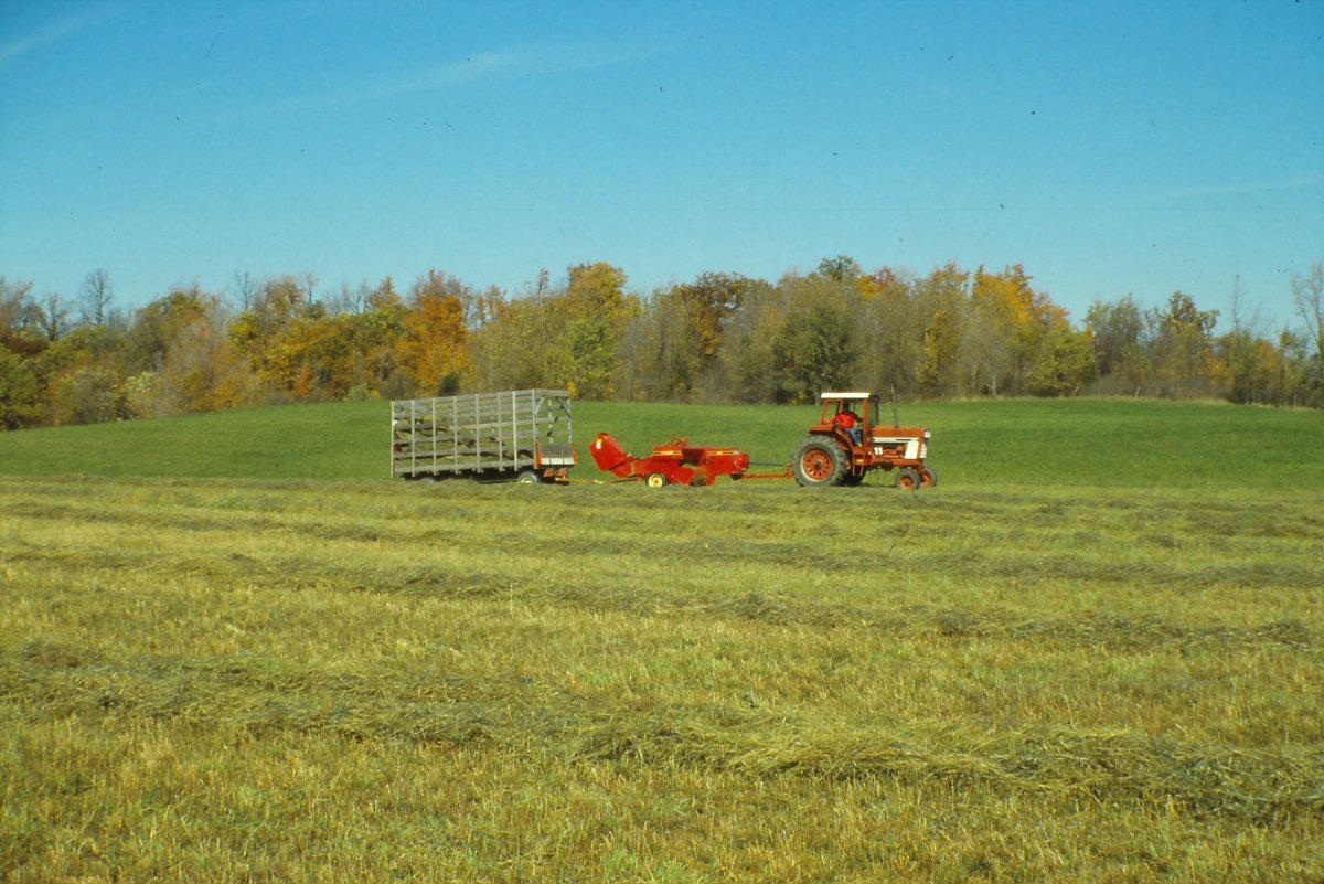 A few really cool, IH related, Gehl archive pics.... - General Chat ...