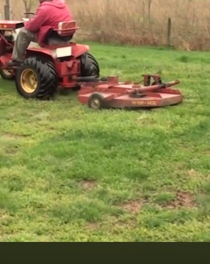 Miniature bush hog trailed cutter - General Chat - Red Power Magazine ...