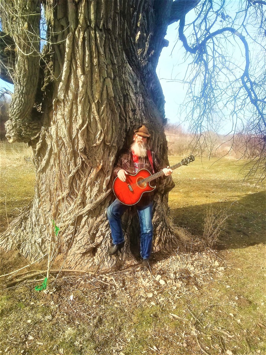 How big are your trees? - Page 2 - General Chat - Red Power Magazine ...