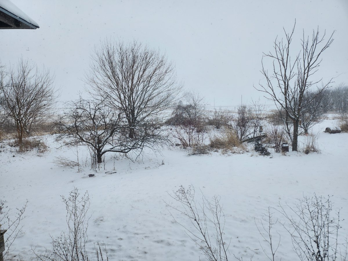 Seeding in February! Rushing in a frost seeding in before it snows. - General Chat - Red Power ...