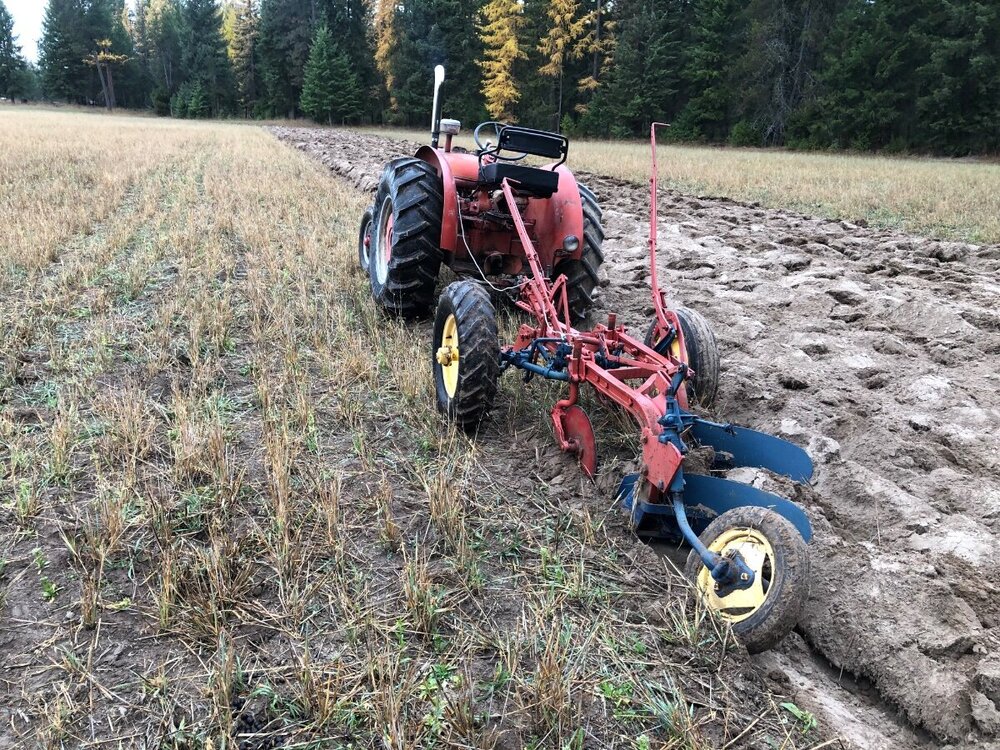 Little Genius Plow Restoration - Projects, Builds, & Restorations - Red ...