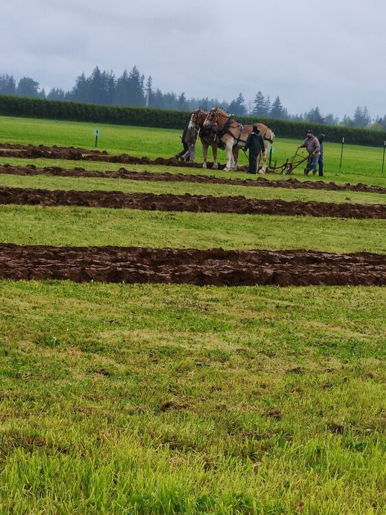 IH Tractors on Montana Farm - Page 1029 - General Chat - Red Power ...