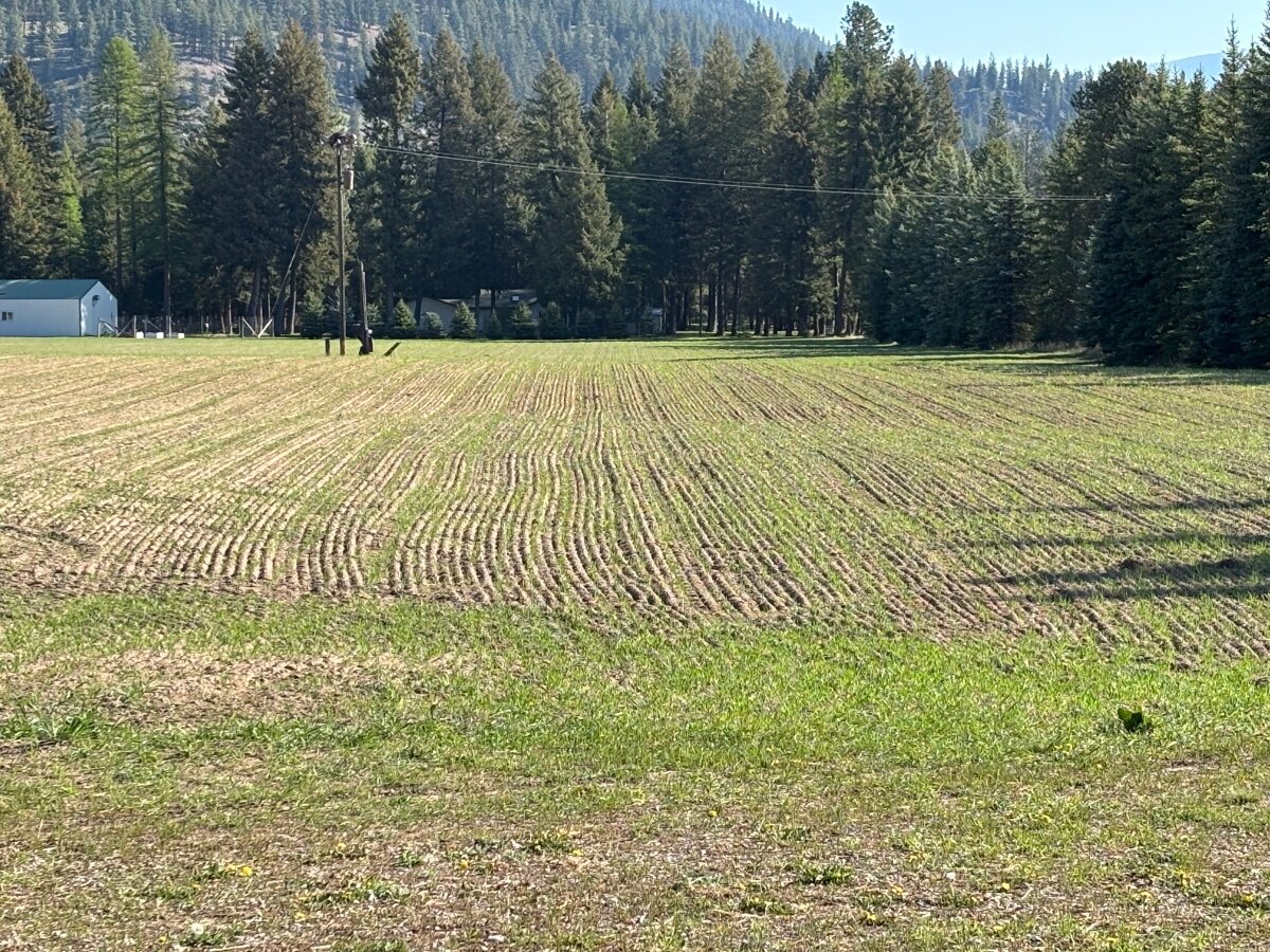 2025 Crops - General Chat - Red Power Magazine Community