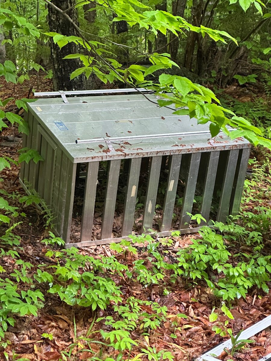What’s this actually called? I call it a beagle box - General Chat ...