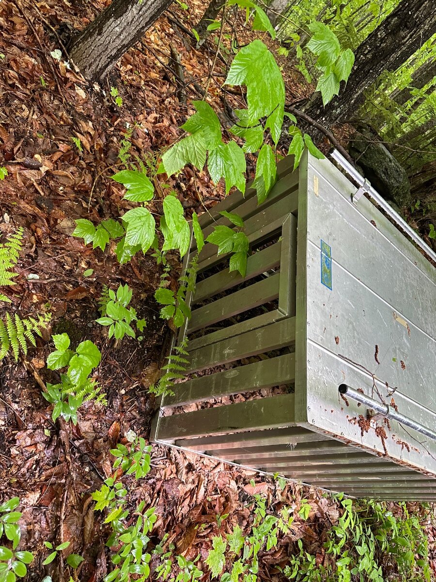 What’s this actually called? I call it a beagle box - General Chat ...