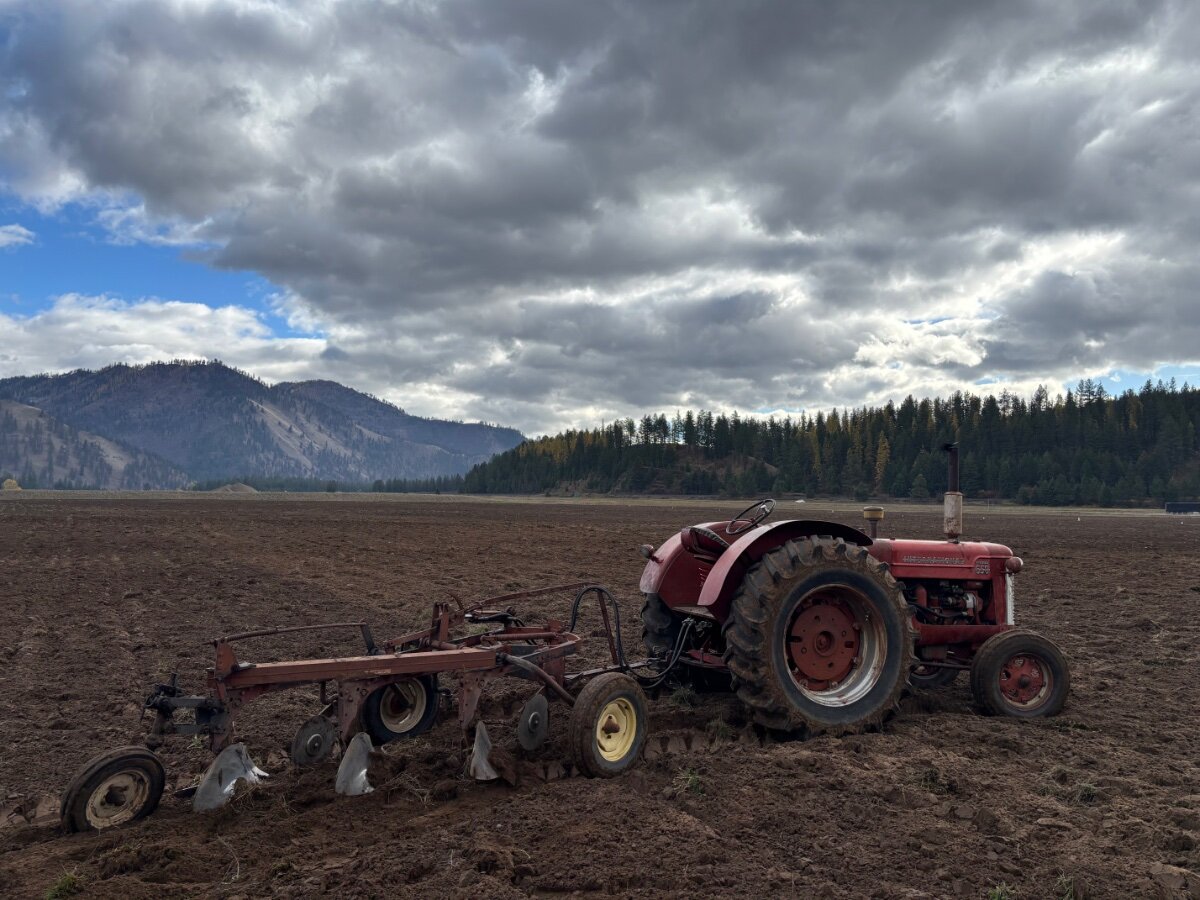 What did you do with your Red tractor today? - Page 167 - General Chat ...