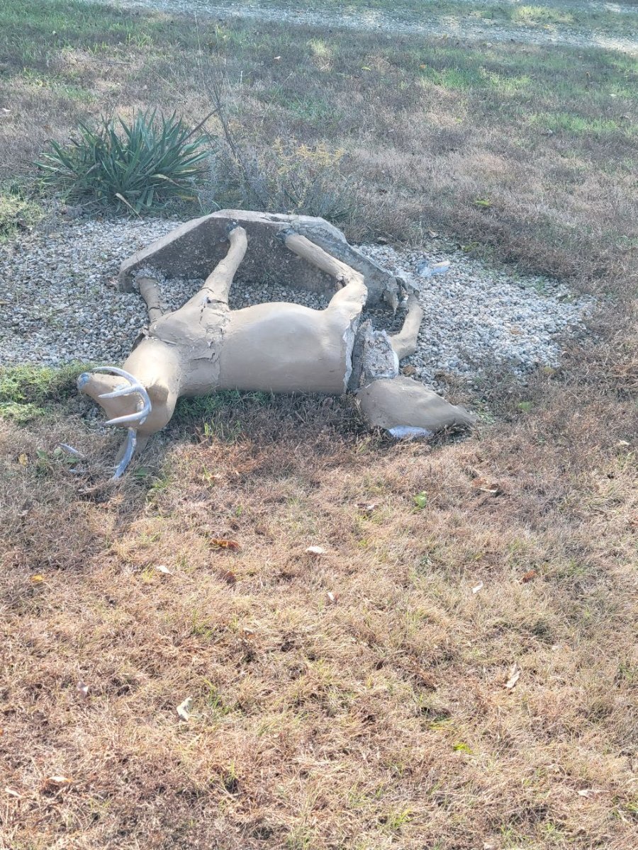 How rutting bucks handle competition (real or not) on this Kansas farm ...