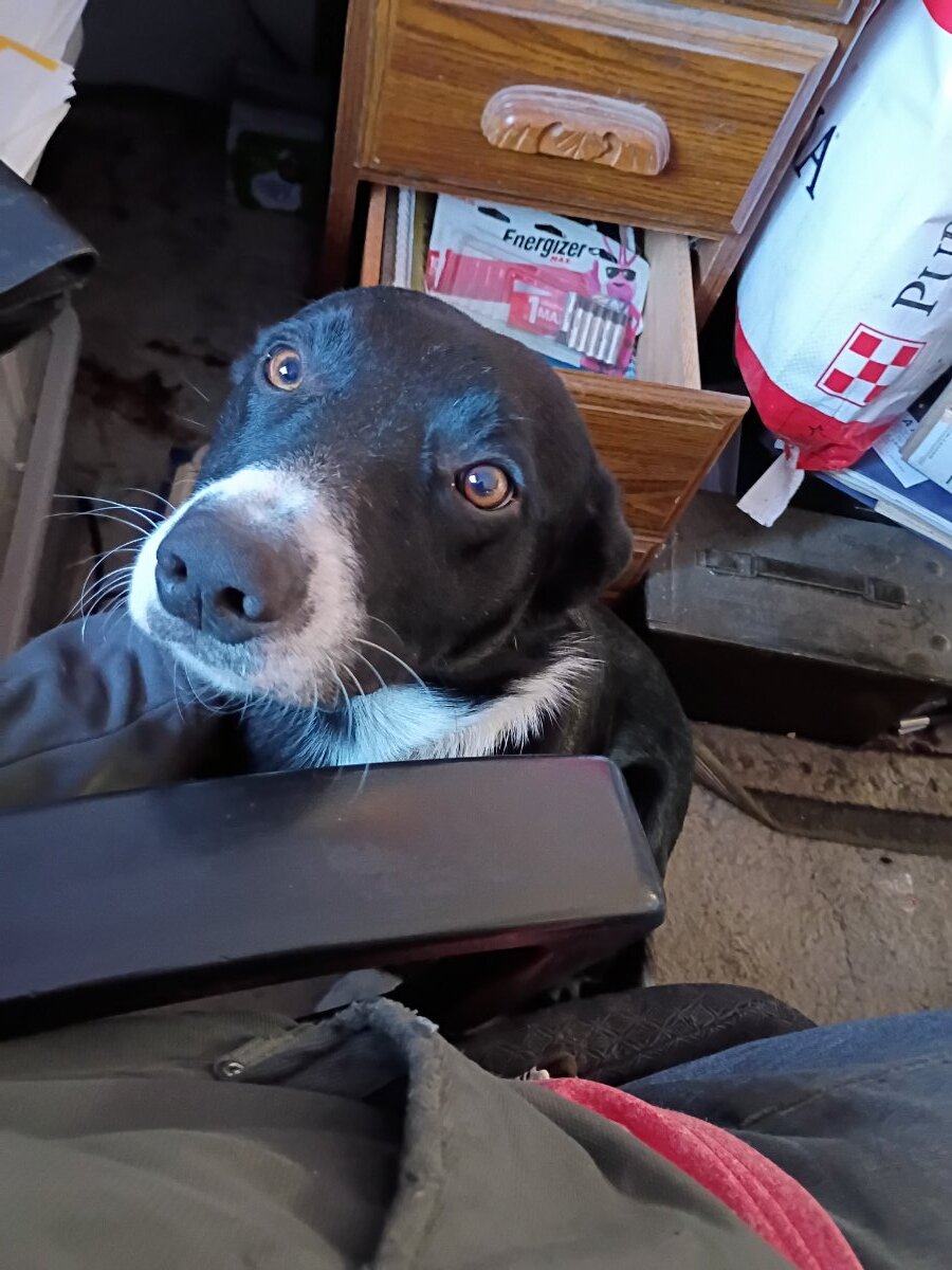 Big plans tonight, got my tickets. - General Chat - Red Power Magazine ...