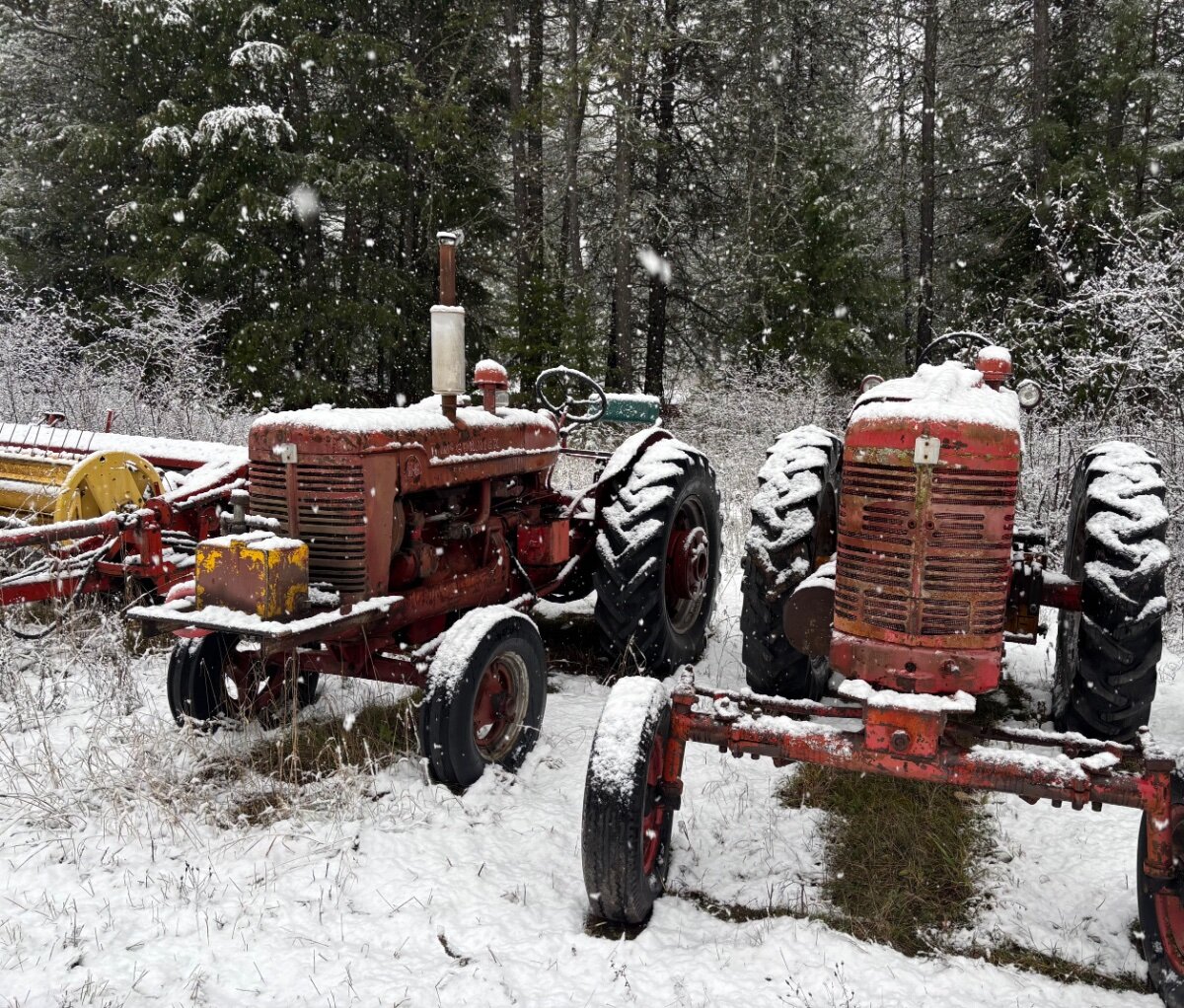 White Christmas? - General Chat - Red Power Magazine Community