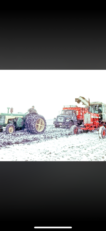 The greenie thread - Page 8 - General Chat - Red Power Magazine Community