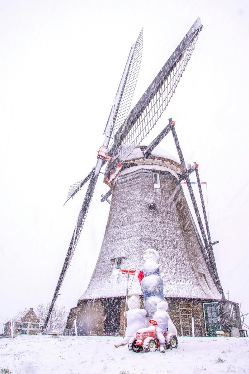 Cold weather brings chaos - General Chat - Red Power Magazine Community