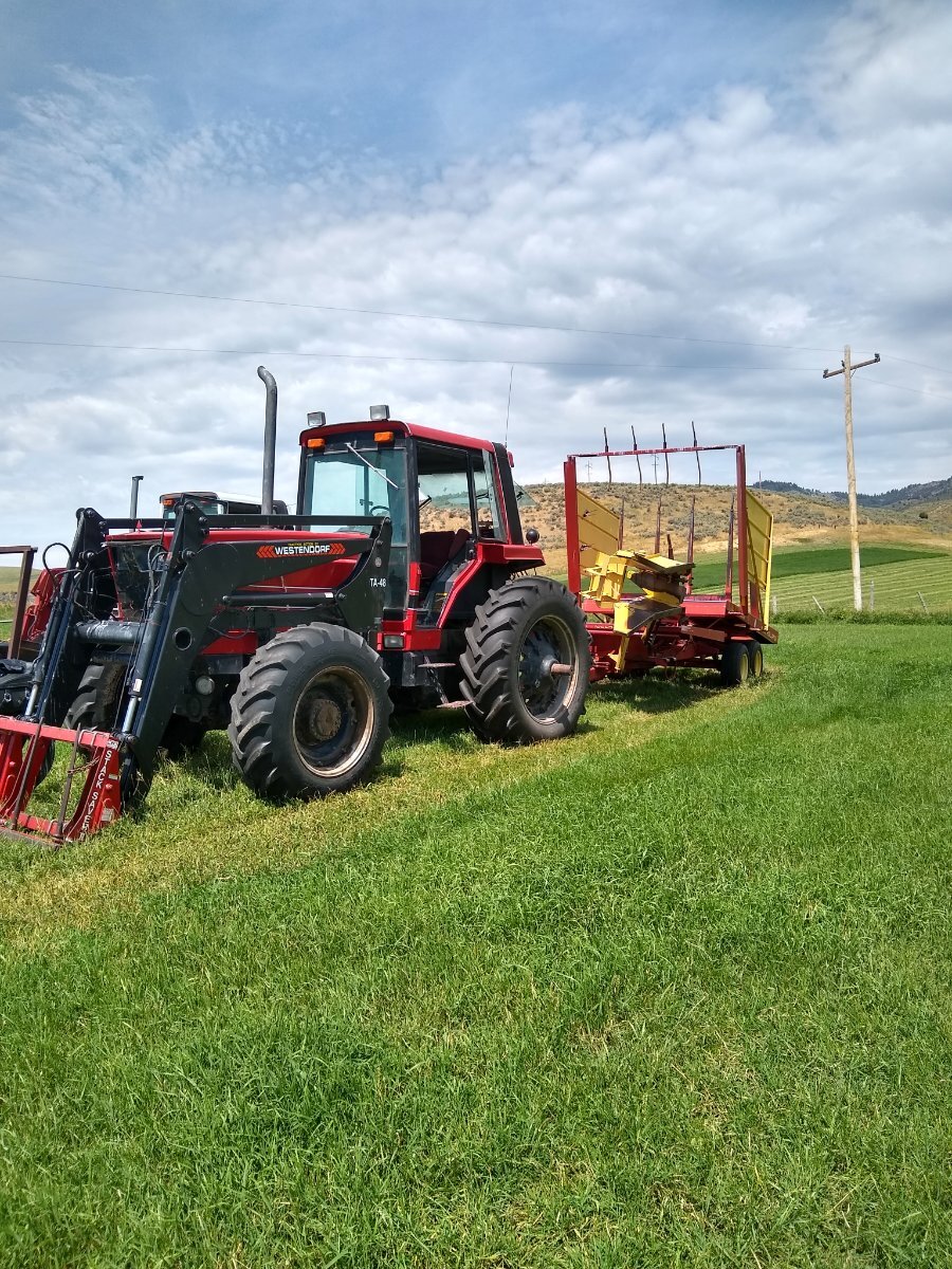 Loader tractor opinions - General Chat - Red Power Magazine Community