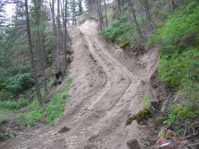 Logging race ?? - IH Construction Equipment - Red Power Magazine Community