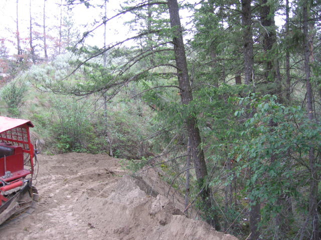 Logging race ?? - IH Construction Equipment - Red Power Magazine Community
