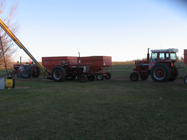 Corn hauling & unloading pictures - General Chat - Red Power Magazine ...