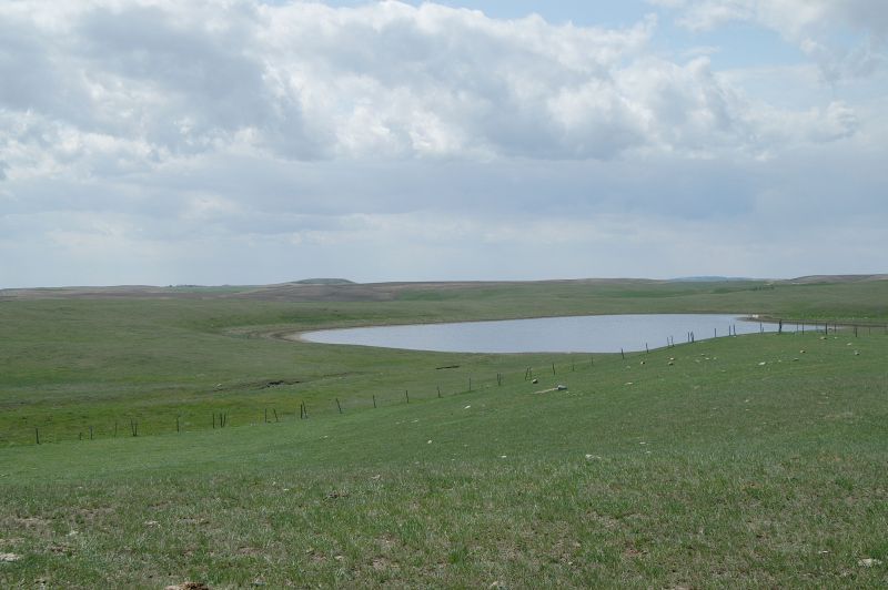 Good old fashioned gopher shoot - General Chat - Red Power Magazine ...