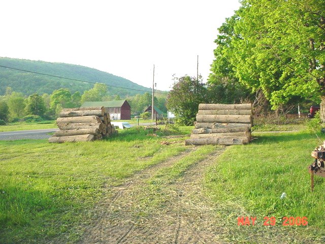Logging race ?? - IH Construction Equipment - Red Power Magazine Community