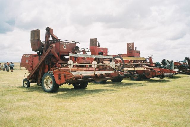 Vintage harvest day - General Chat - Red Power Magazine Community