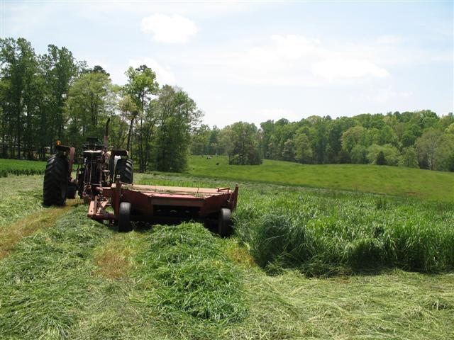Started Cutting Hay - General Chat - Red Power Magazine Community