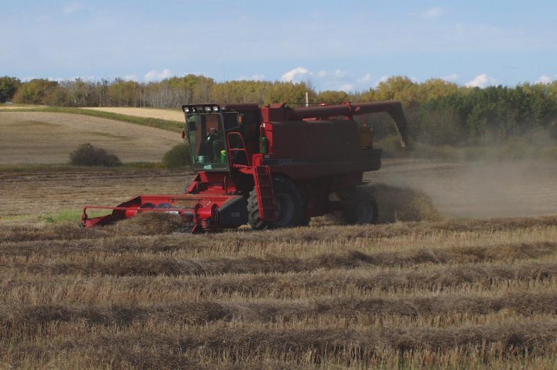 Oats Combining Pics - General Chat - Red Power Magazine Community